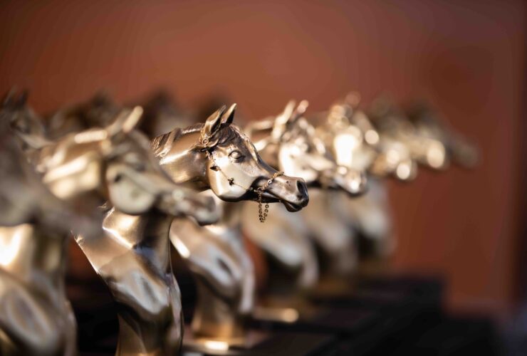 The Global Champions Arabians Tour: A Spectacular Inaugural Season ...