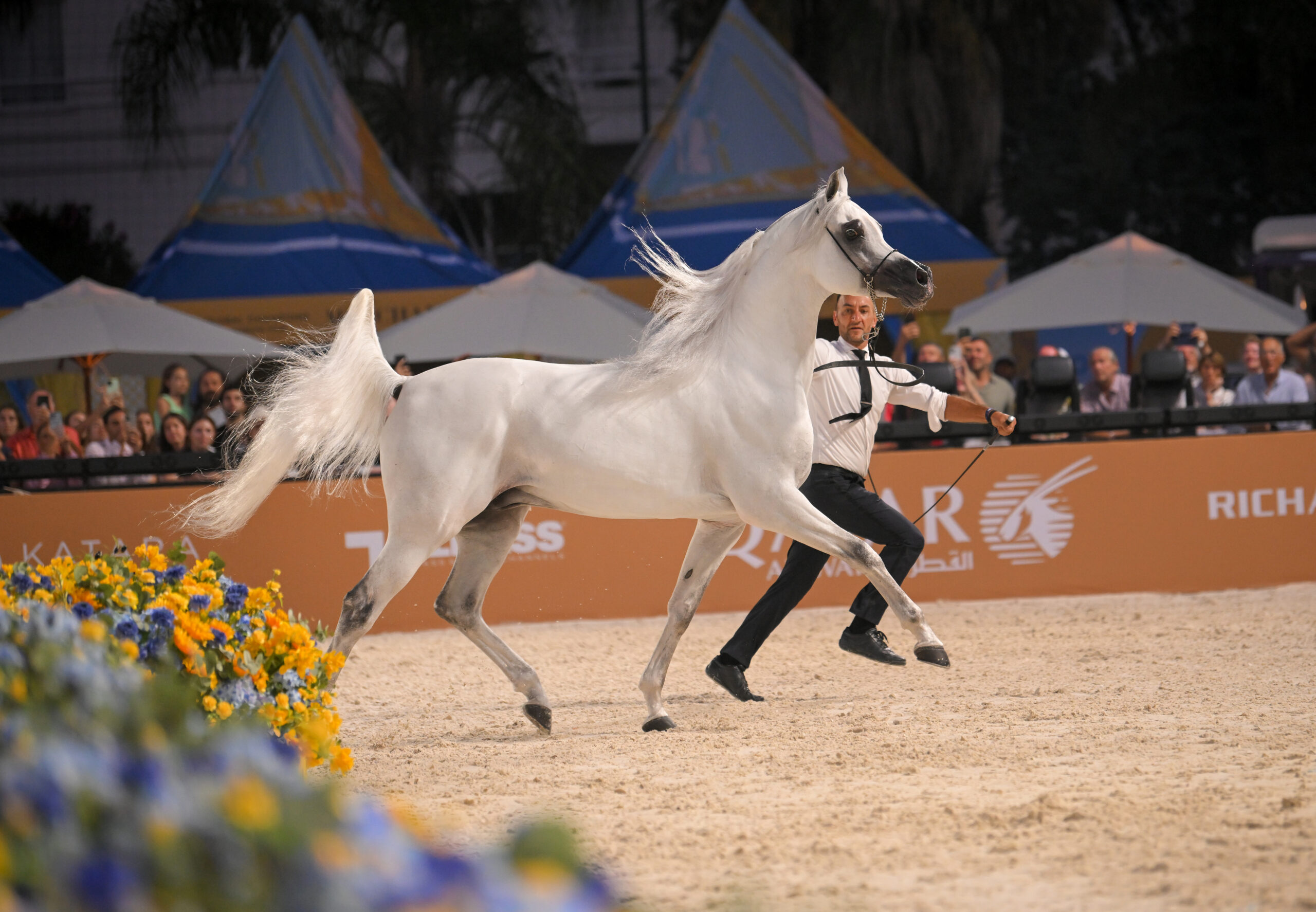 São Paulo Welcomes the Global Champions Arabians Tour for the First ...